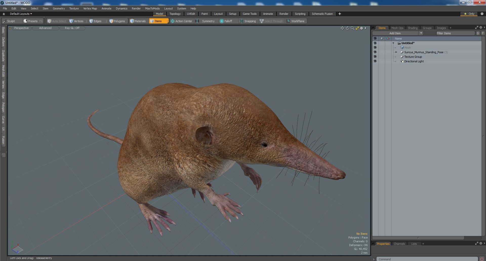 Suncus Murinus Standing Pose 3D model - TurboSquid 2164591
