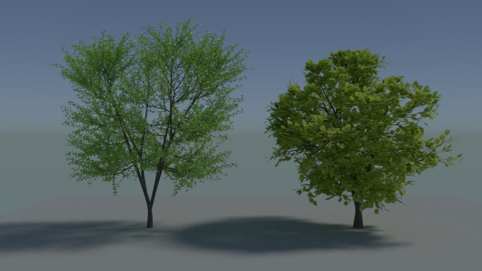 Free Pbr Realistic Tree 3D Model - TurboSquid 1386578