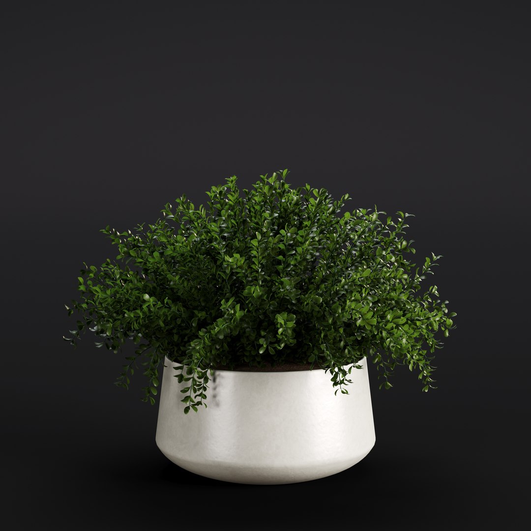 3D Archmodels Vol 280 For C4d - TurboSquid 2193558