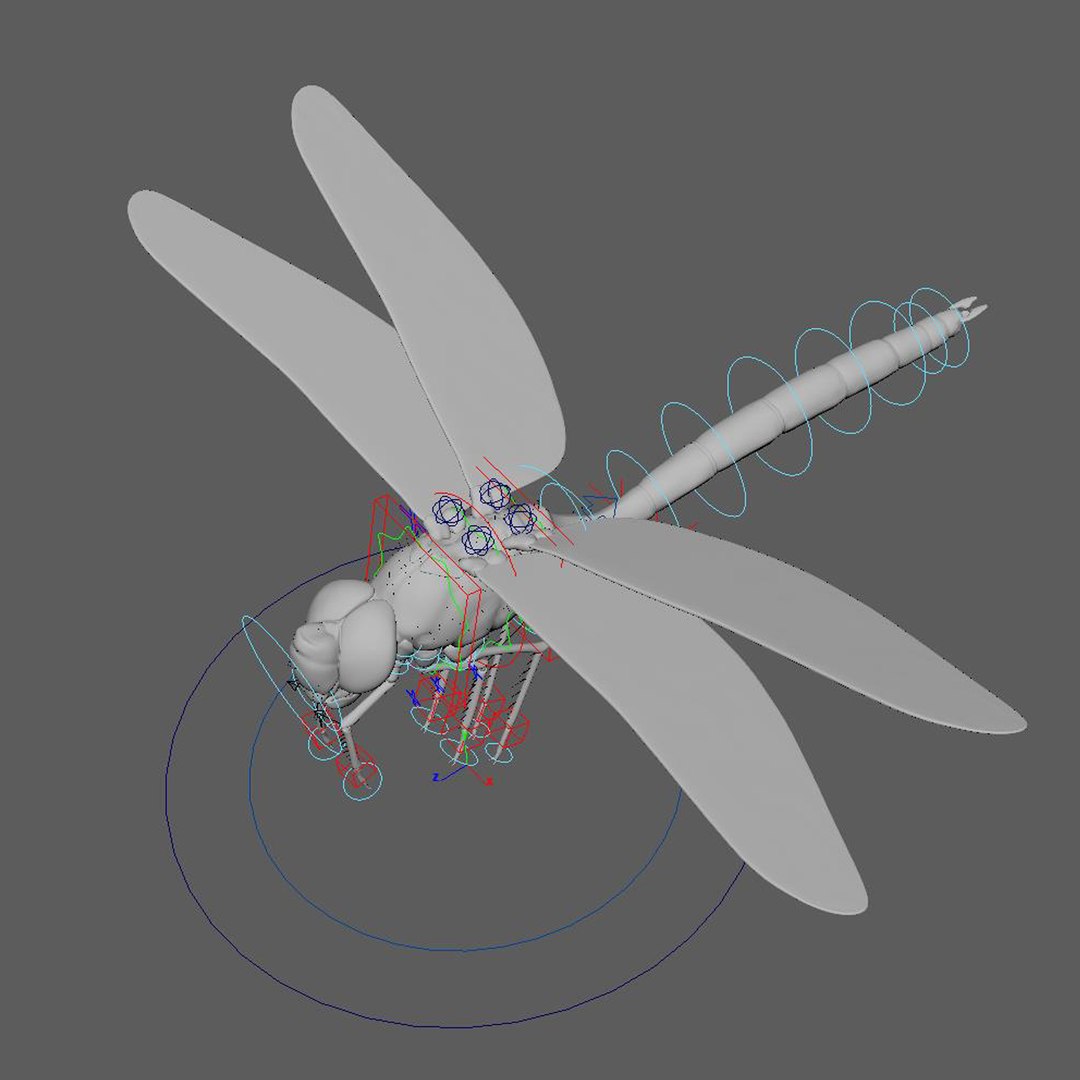Anax Imperator 3D Model - TurboSquid 2087146