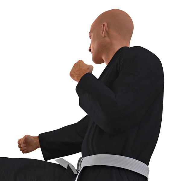 3d model karate fighter pose 2