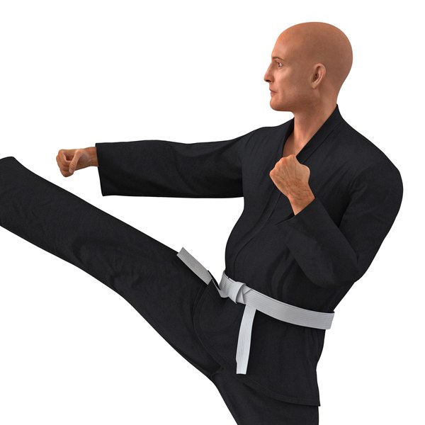 3d model karate fighter pose 2