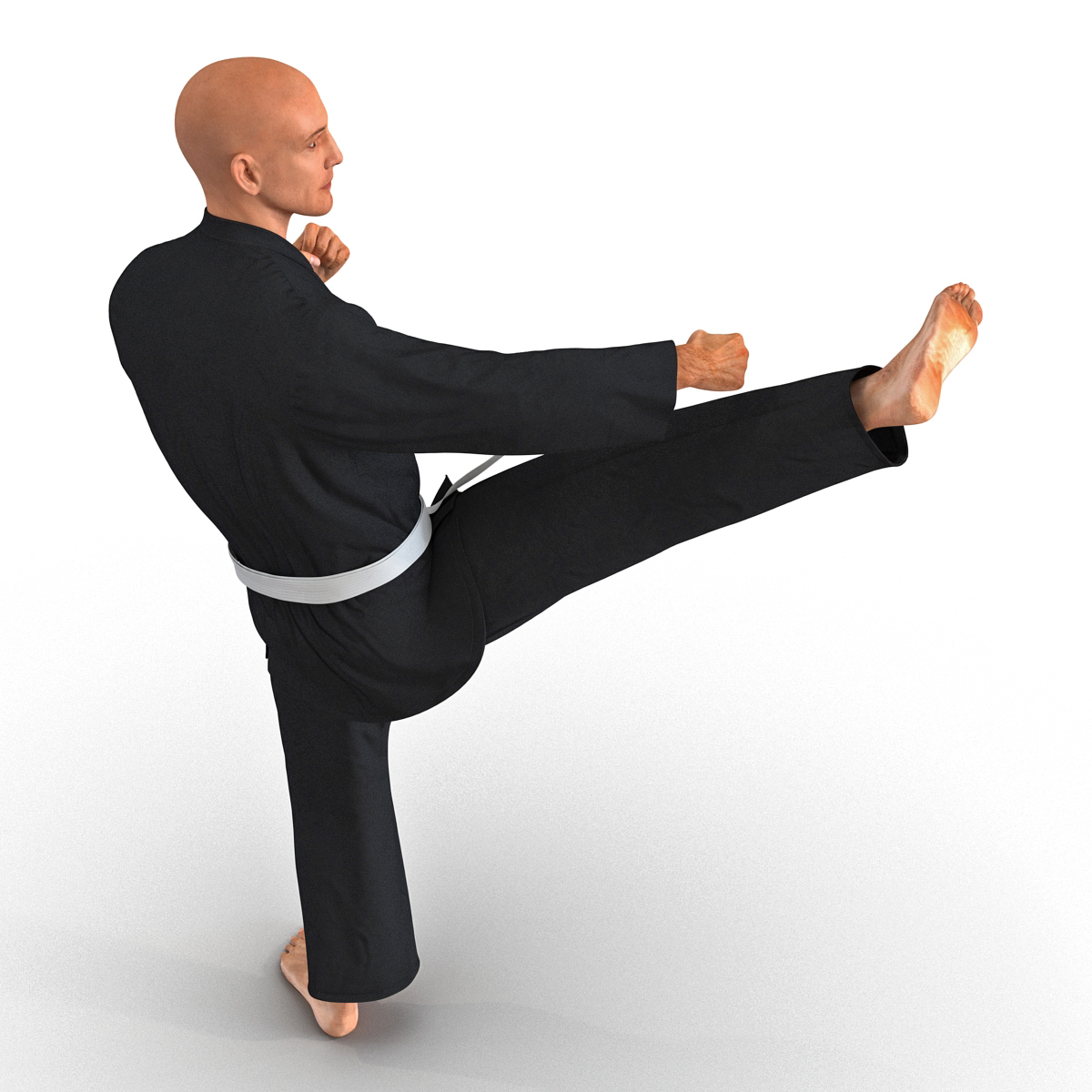 3d model karate fighter pose 2