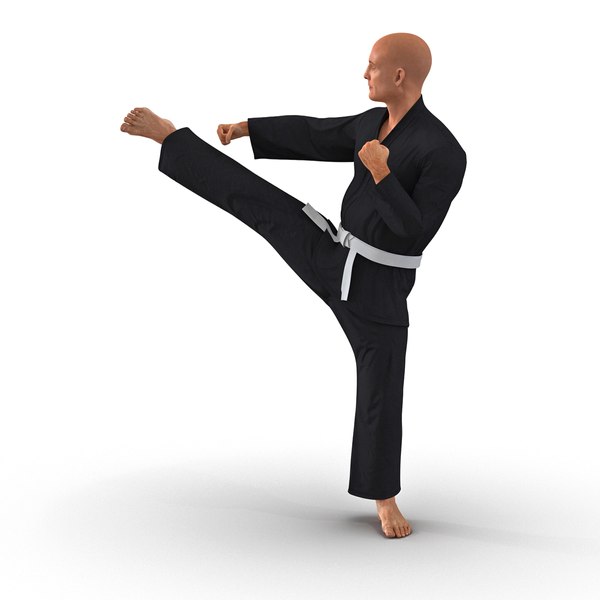 3d model karate fighter pose 2