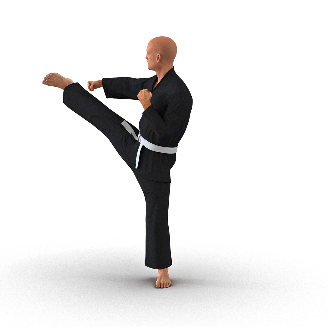 3d model karate fighter pose 2
