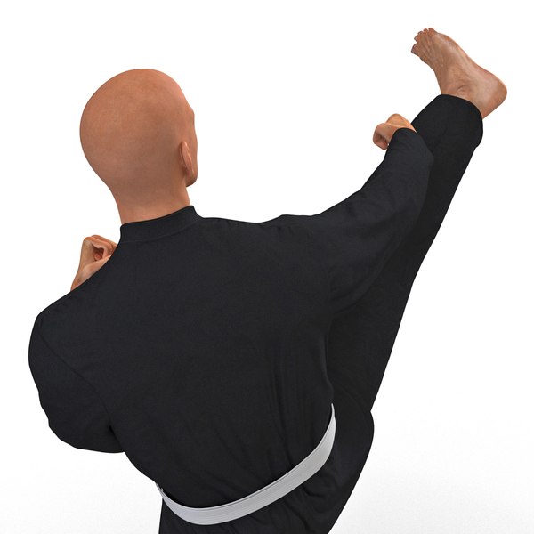 3d model karate fighter pose 2
