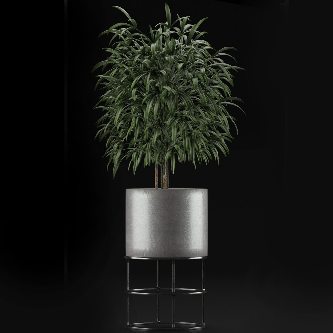 Single Plant 14 3D Model - TurboSquid 1586393