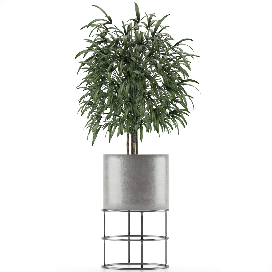 Single Plant 14 3D Model - TurboSquid 1586393