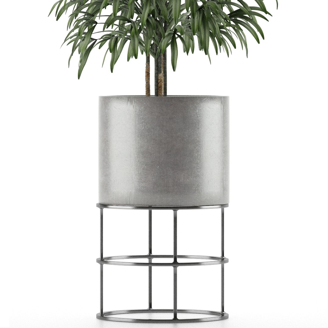 Single Plant 14 3D Model - TurboSquid 1586393