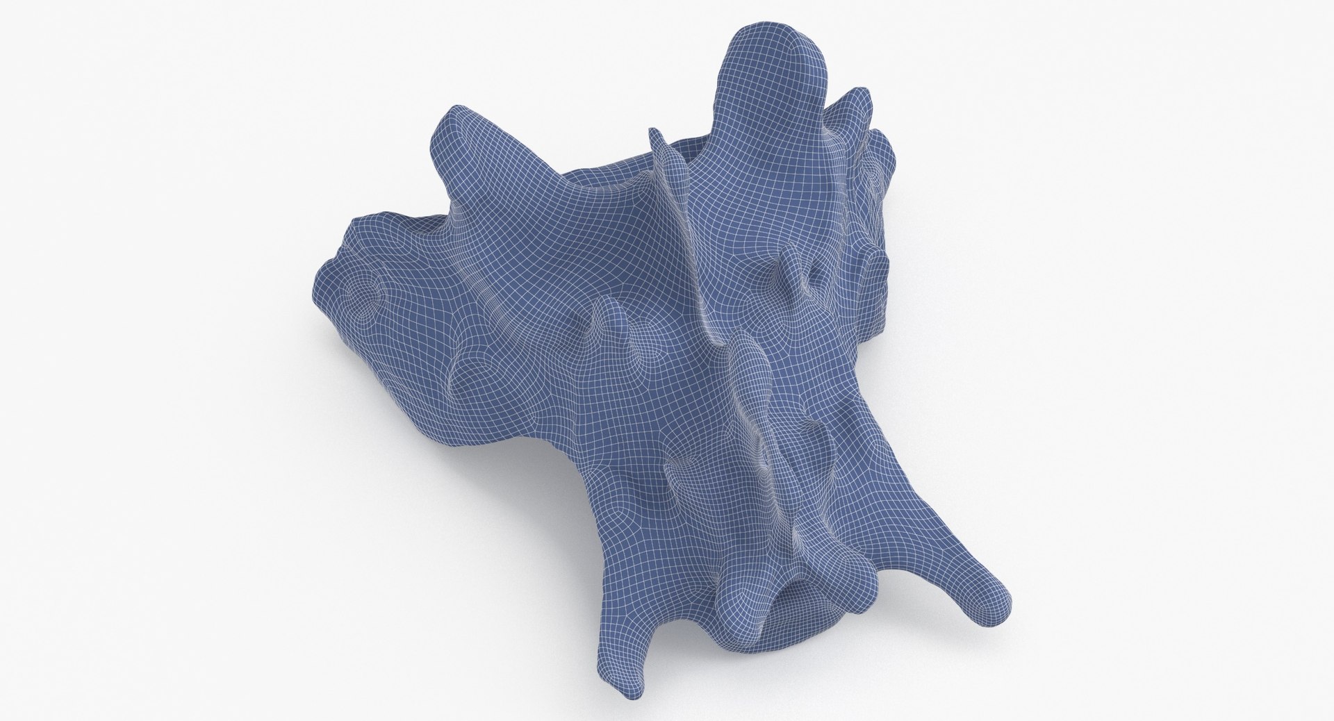 3D Domestic Cat Sacrum Bone 01 S1 S3 - TurboSquid 1869432