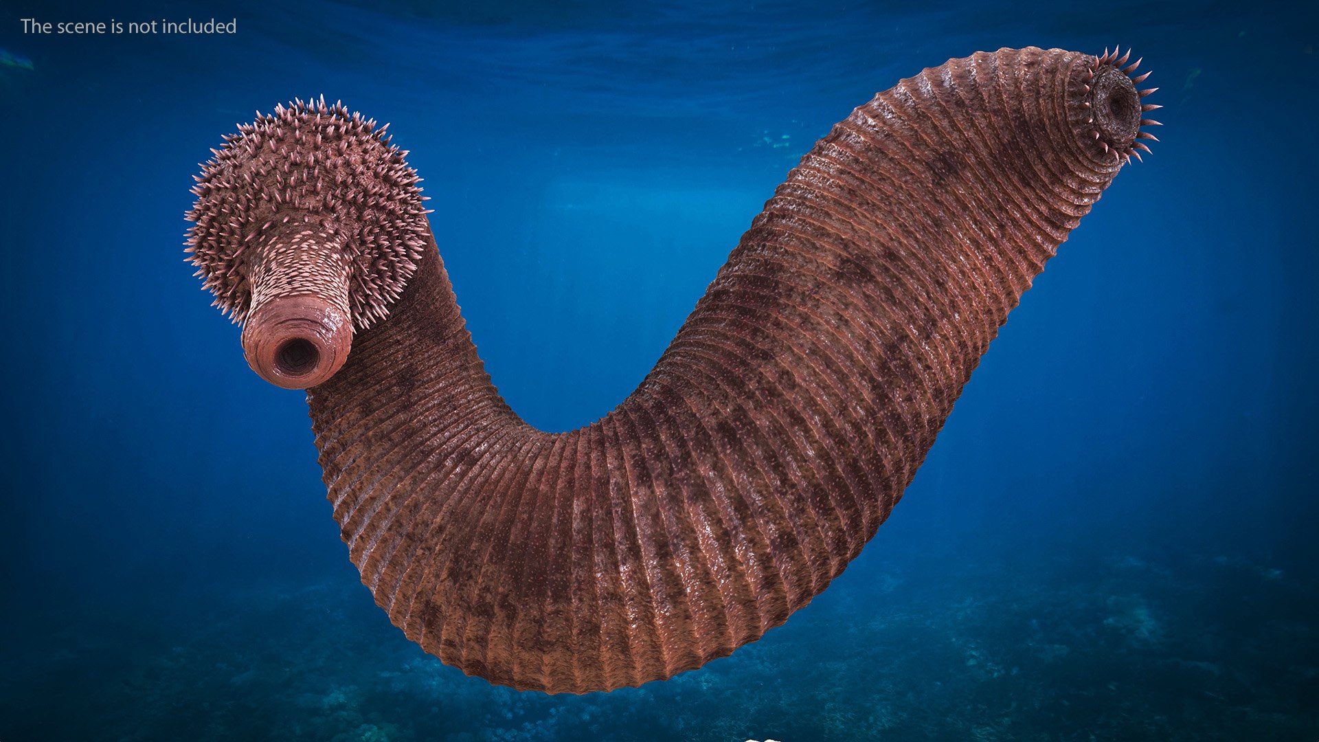 3D Ottoia Relict Marine Worm Rigged Model - TurboSquid 2177524