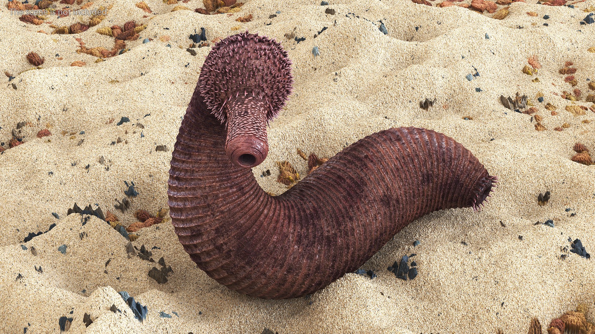 3D Ottoia Relict Marine Worm Rigged Model - TurboSquid 2177524