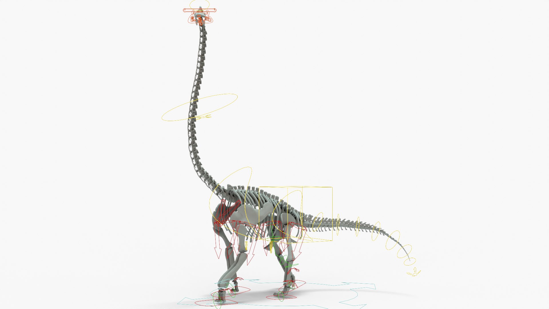 Brachiosaurus Rigged Basemesh Skeleton 3D model - TurboSquid 2112638