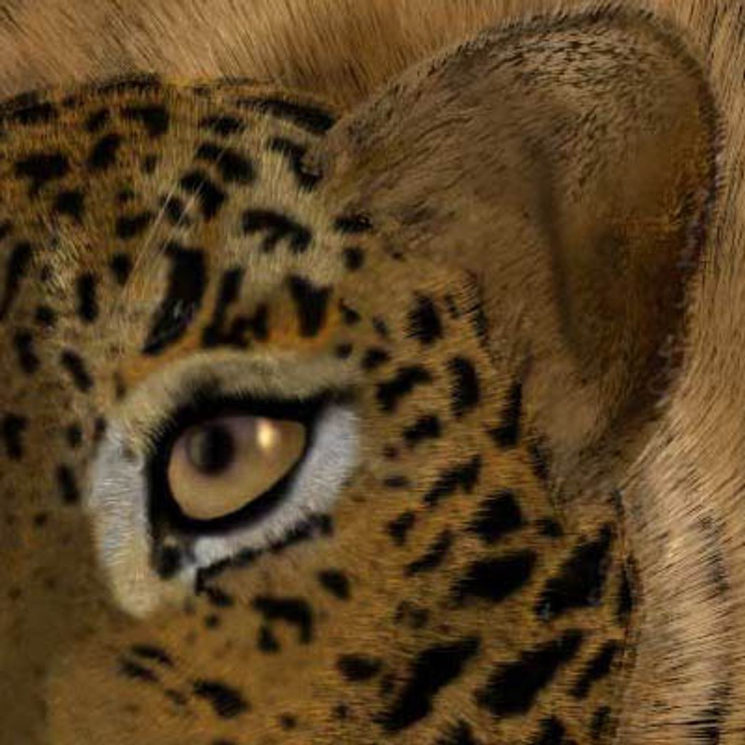 3d model texturing leopard