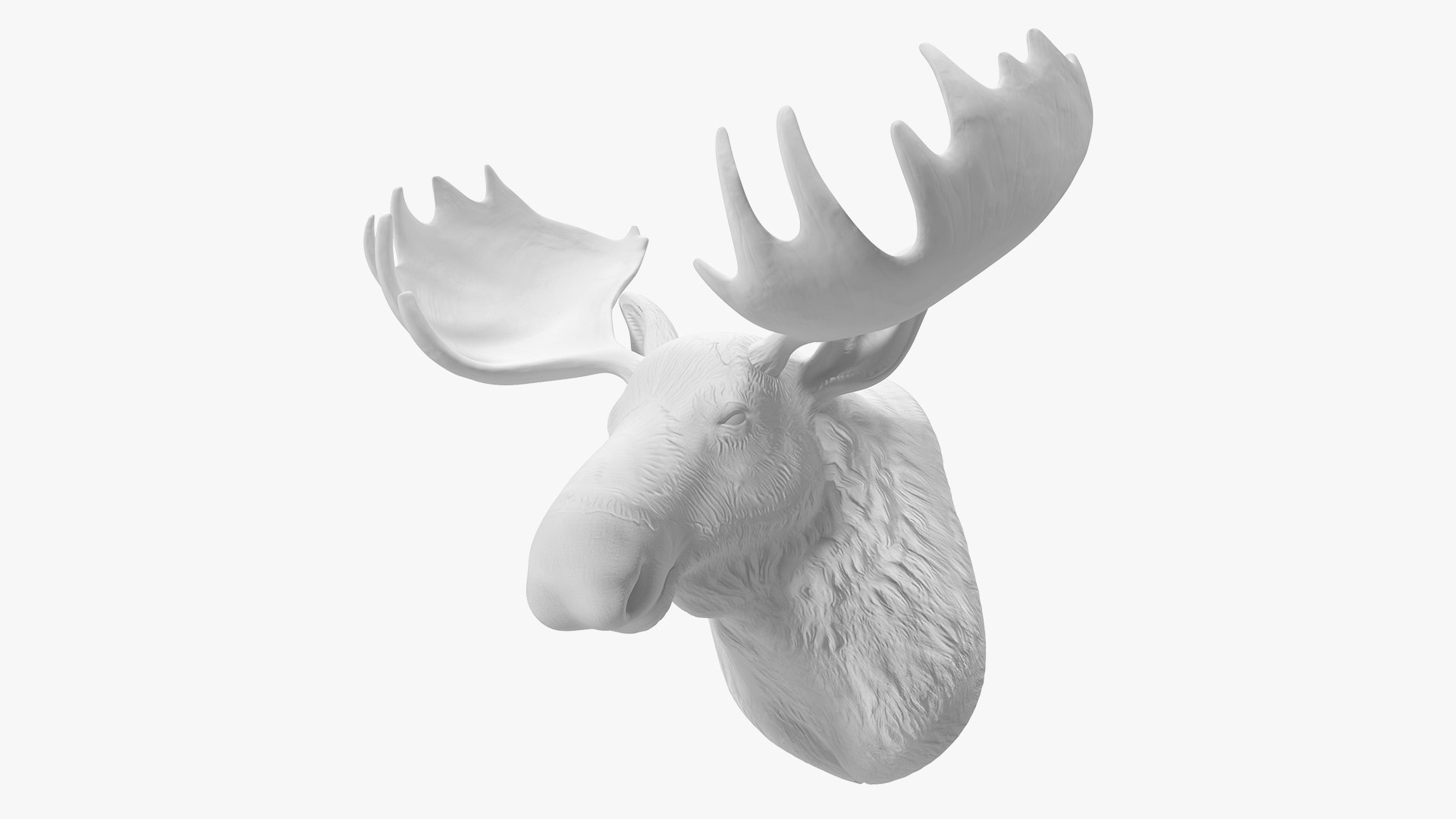 Moose Head Fake Wall Model - TurboSquid 1452141