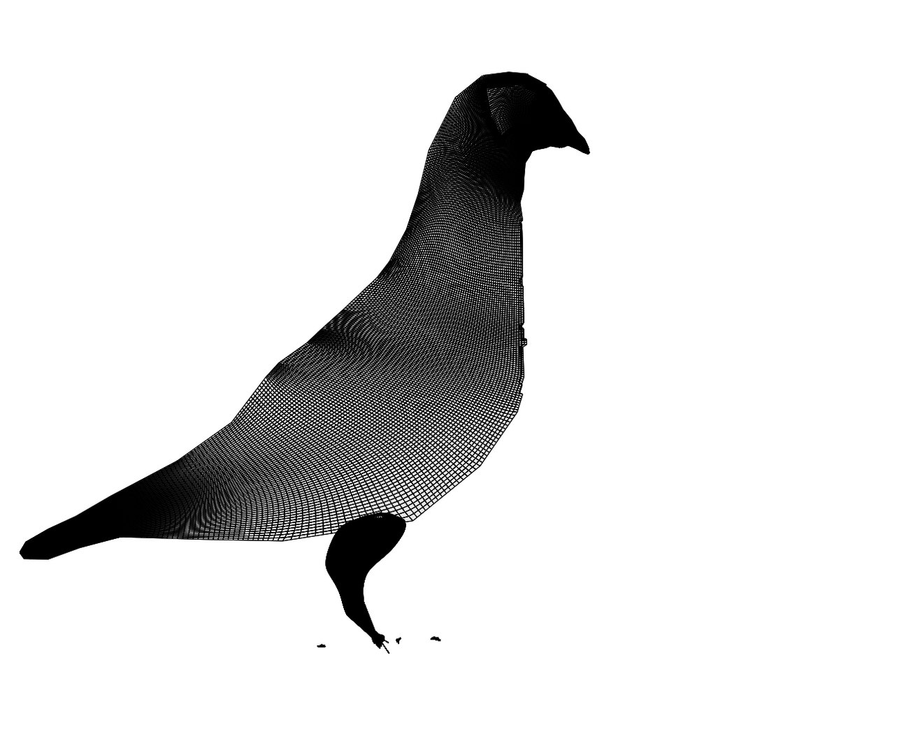 3D Pigeon Model - TurboSquid 2273775