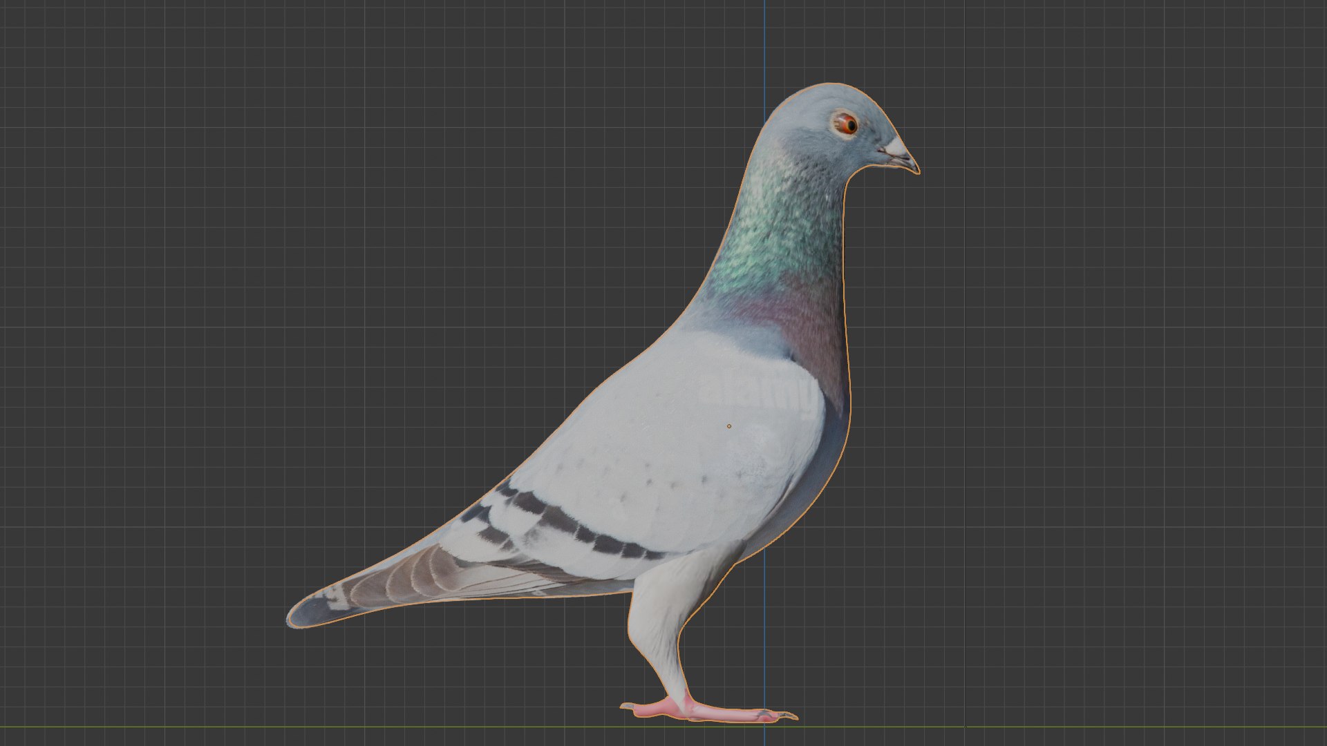3D Pigeon Model - TurboSquid 2273775