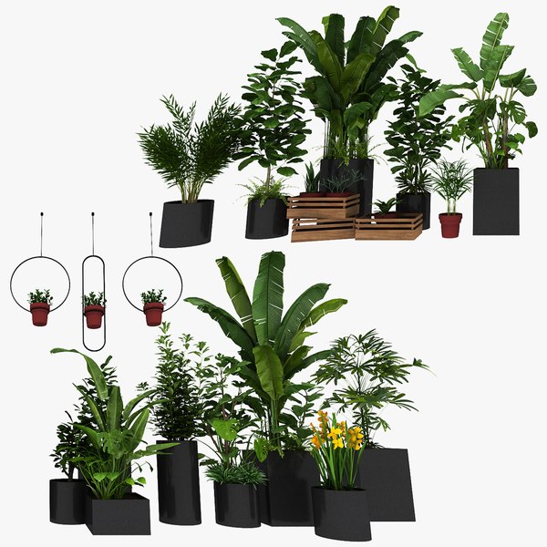3D Collection plants 3D model model - TurboSquid 2021214