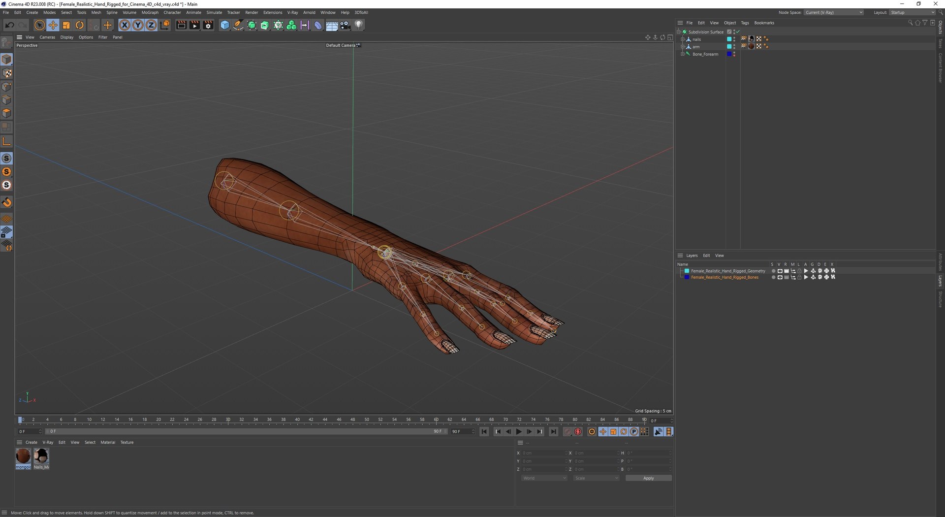Female Realistic Hand Rigged For Cinema 4D Model - TurboSquid 2371404