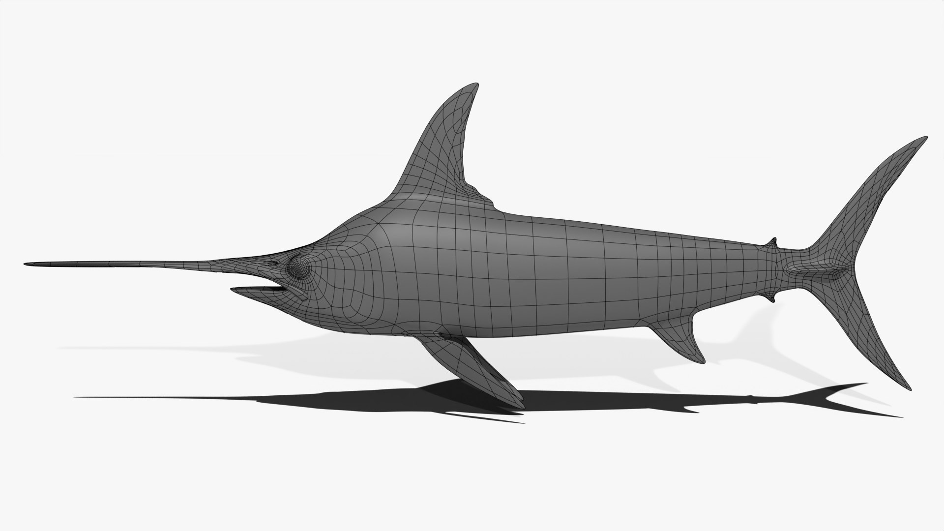 3D Swordfish Model - TurboSquid 1911360