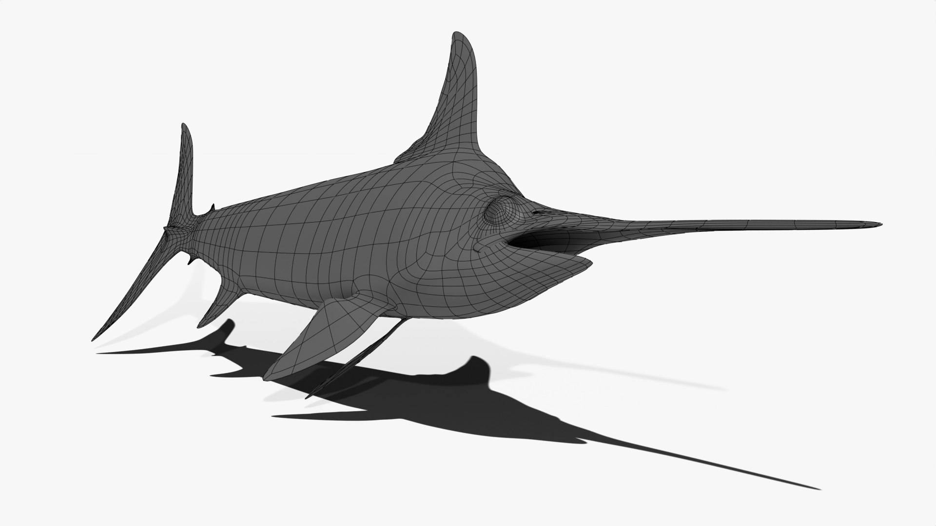 3D Swordfish Model - TurboSquid 1911360
