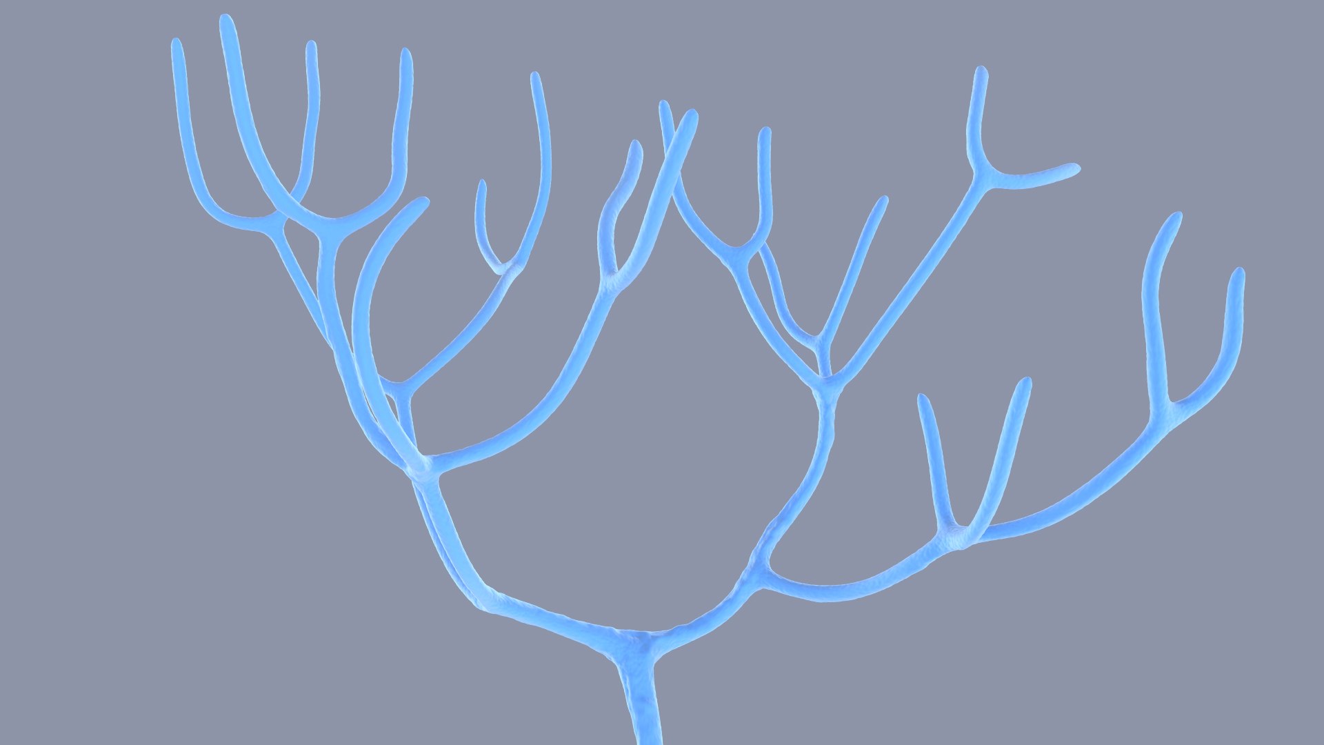 Bipolar Neuron 3D - TurboSquid 2296514