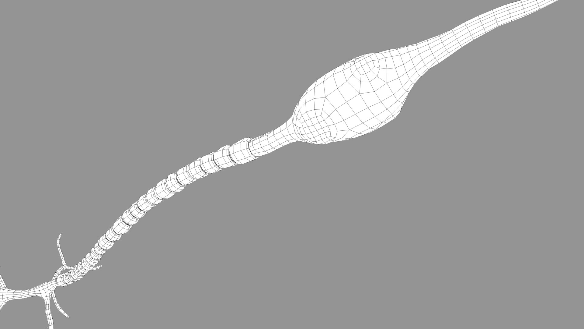 Bipolar Neuron 3D - TurboSquid 2296514