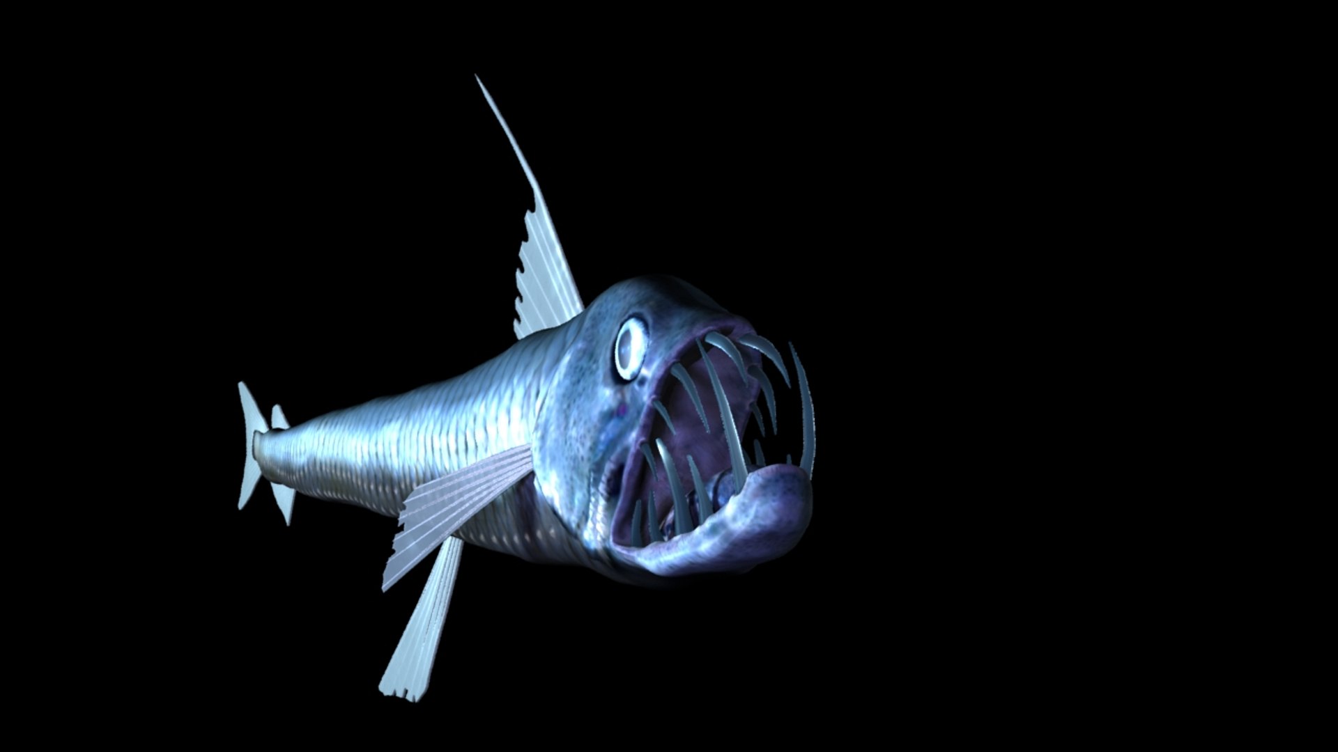 max viper fish chauliodus sloani