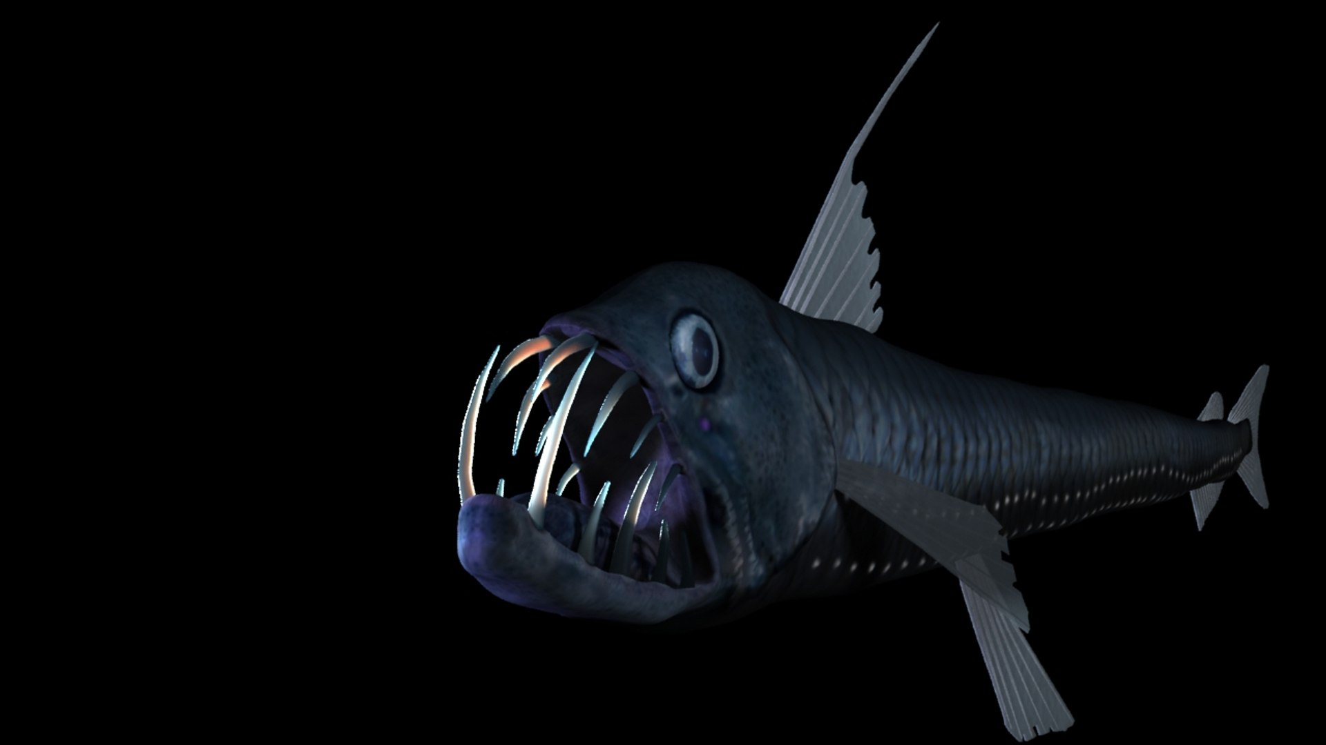 max viper fish chauliodus sloani