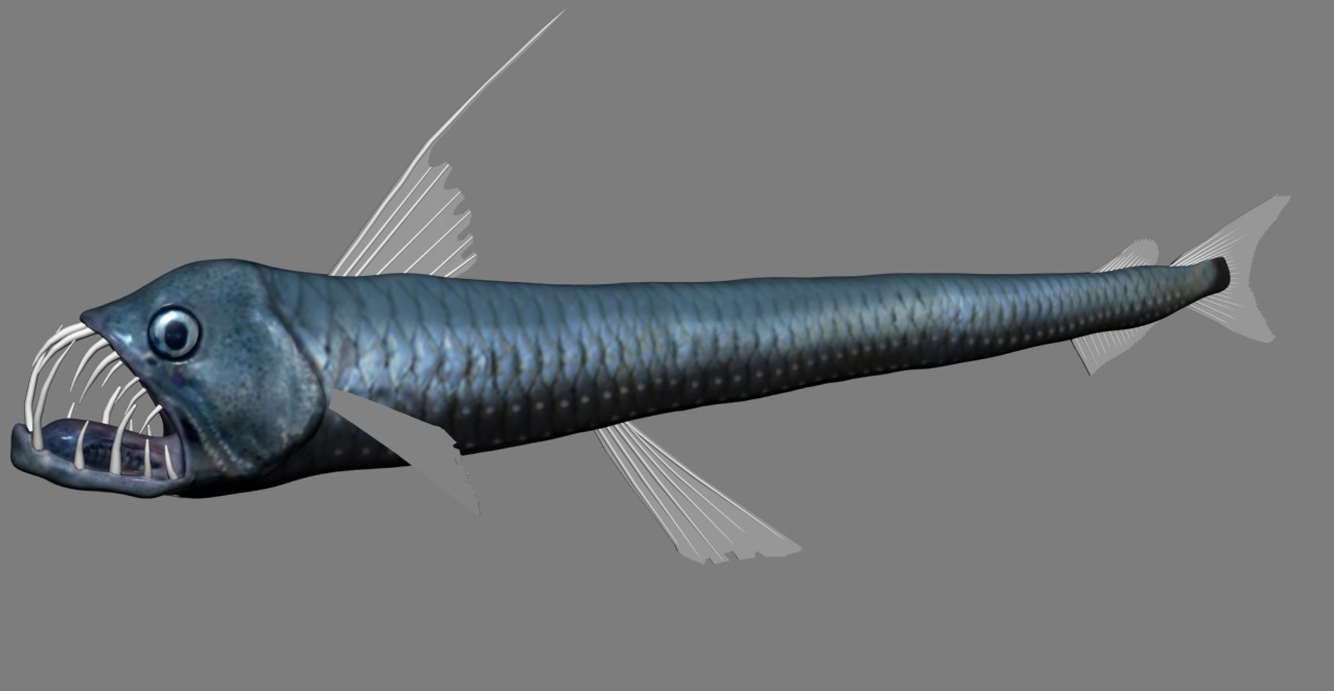 max viper fish chauliodus sloani