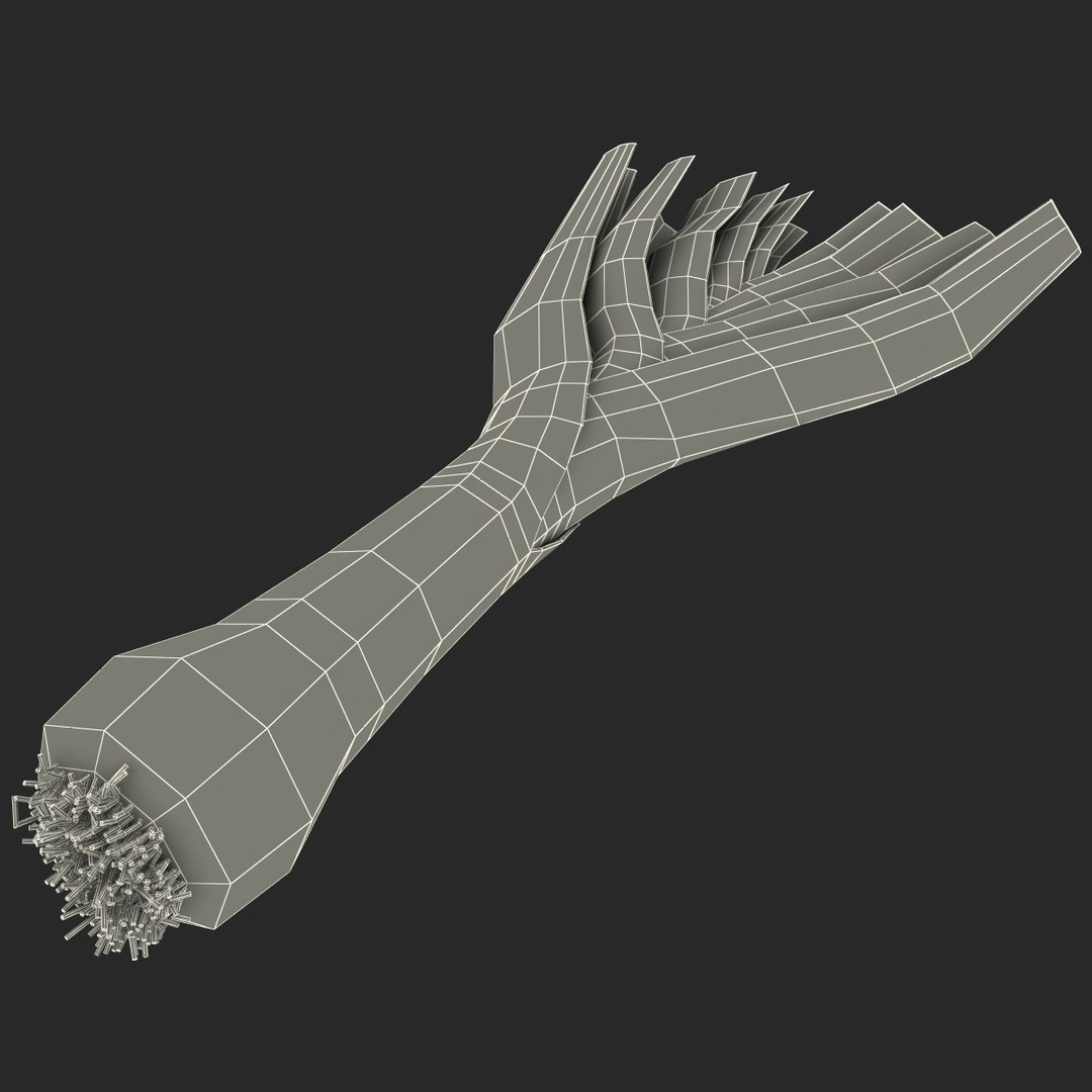 Leek Vegetable Modelled 3d Max