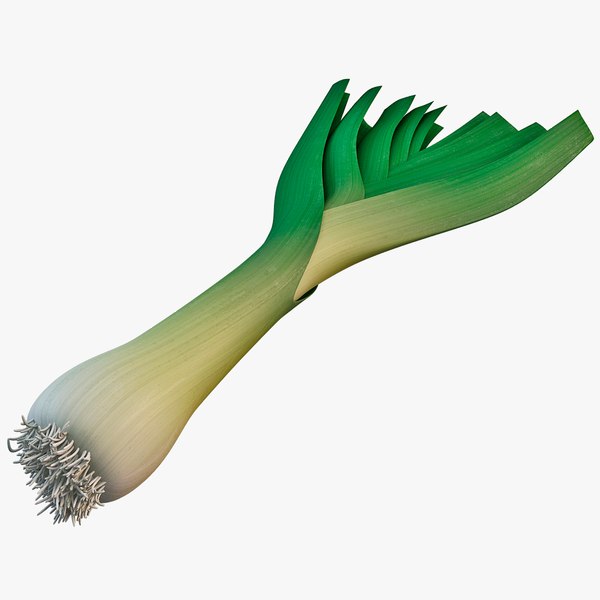 Leek 3D Models for Download | TurboSquid