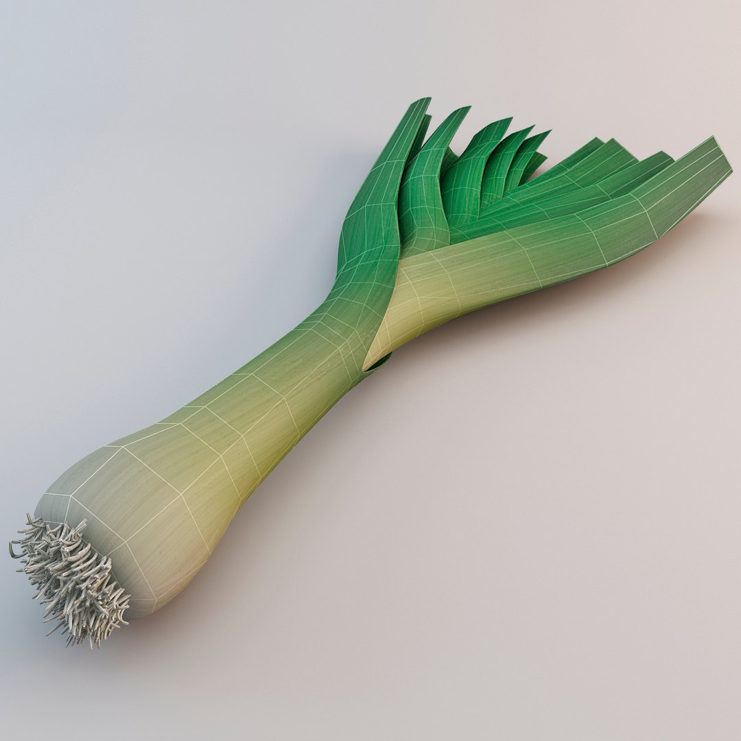 Leek Vegetable Modelled 3d Max