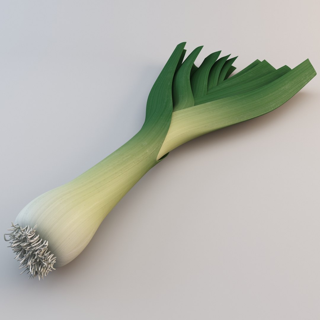 Leek Vegetable Modelled 3d Max