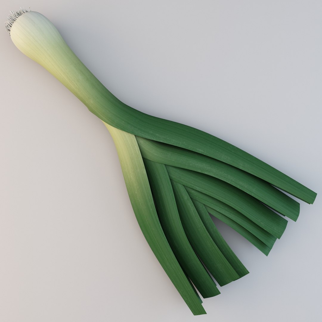 Leek Vegetable Modelled 3d Max
