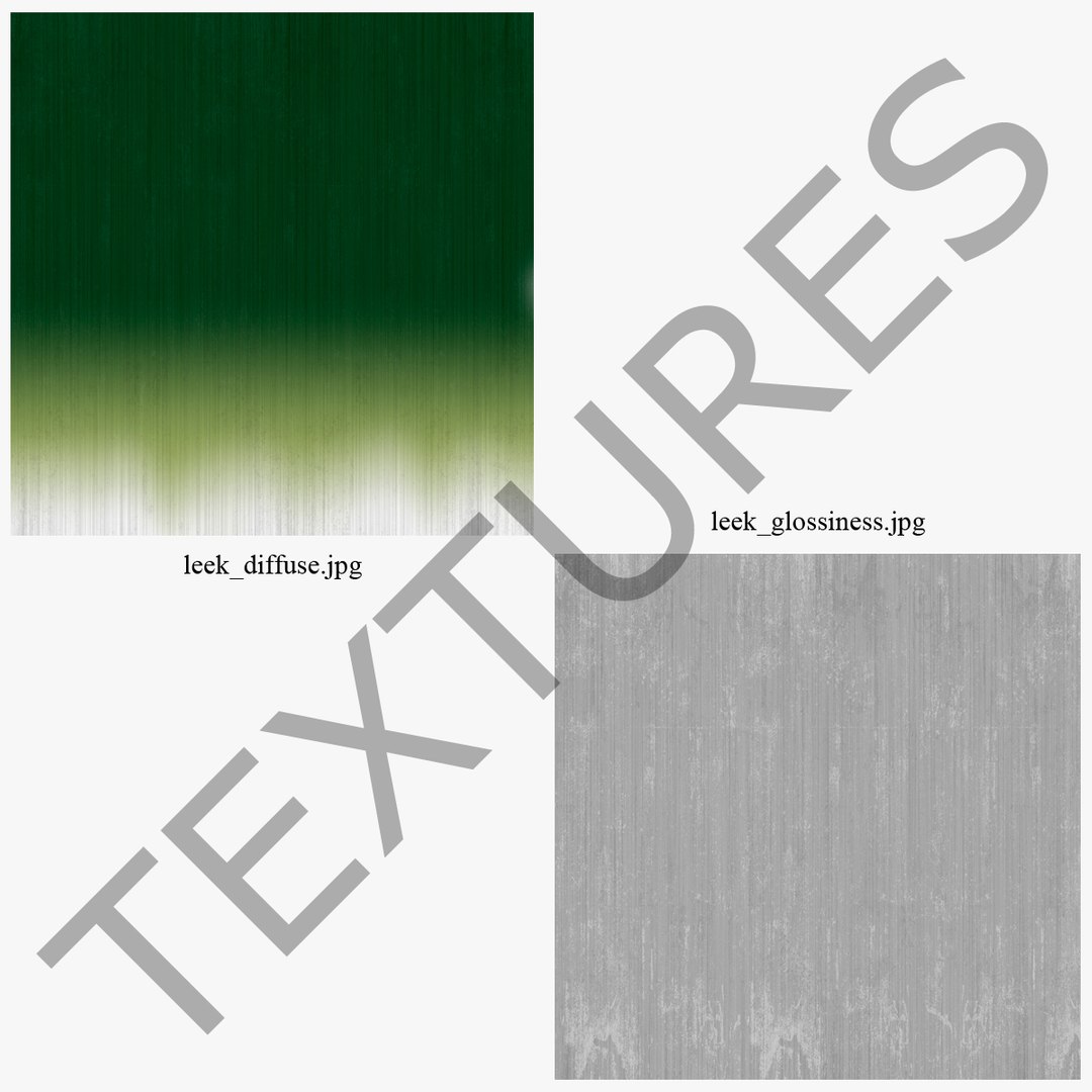 Leek Vegetable Modelled 3d Max