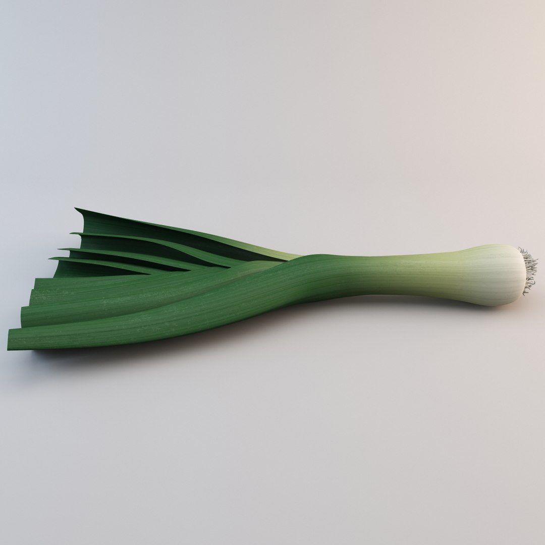 Leek Vegetable Modelled 3d Max
