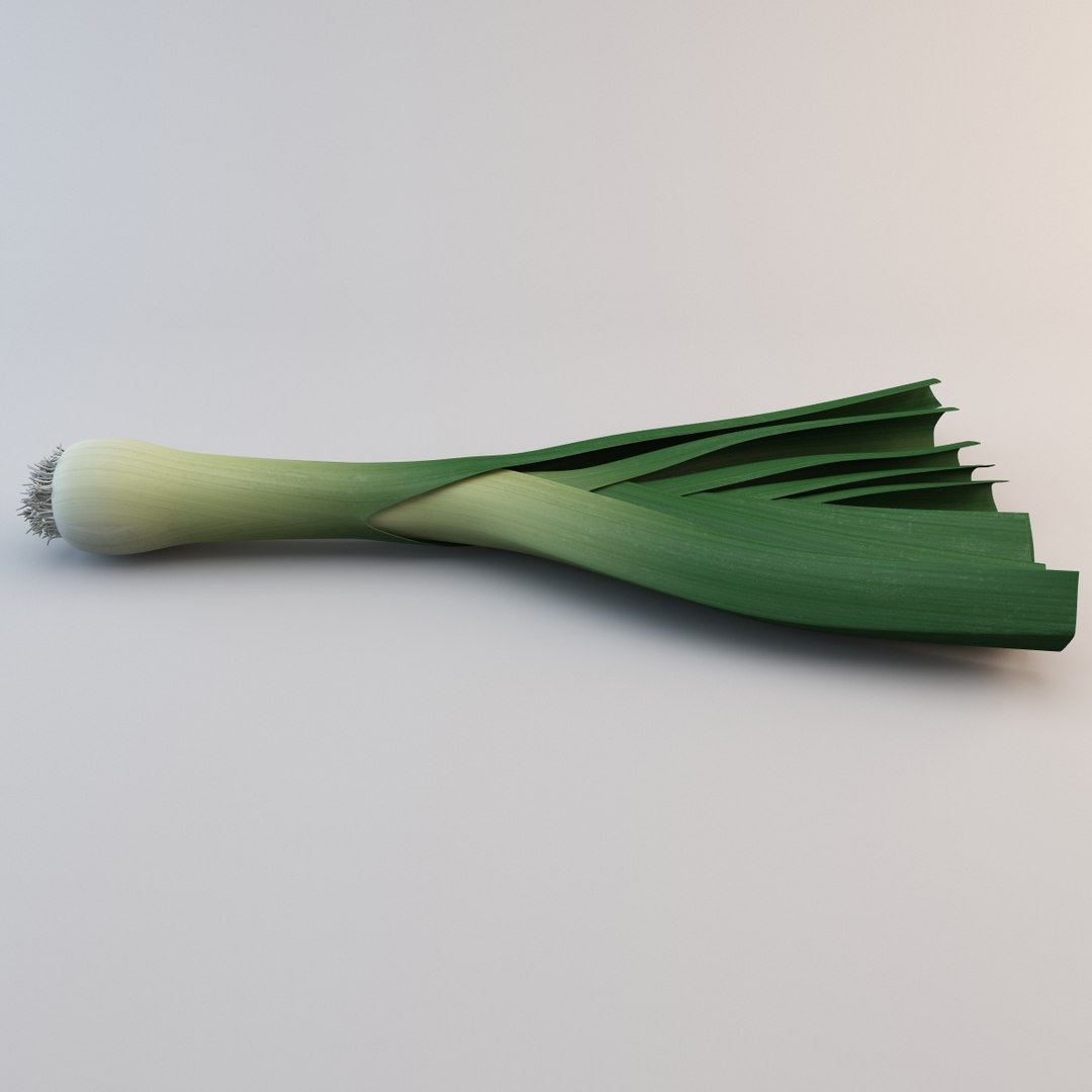 Leek Vegetable Modelled 3d Max
