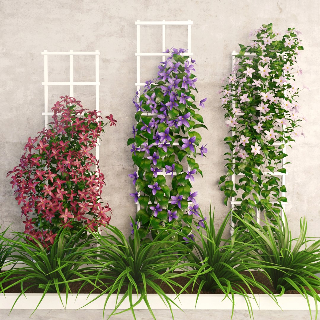 Flower Model Design | Best Flower Site