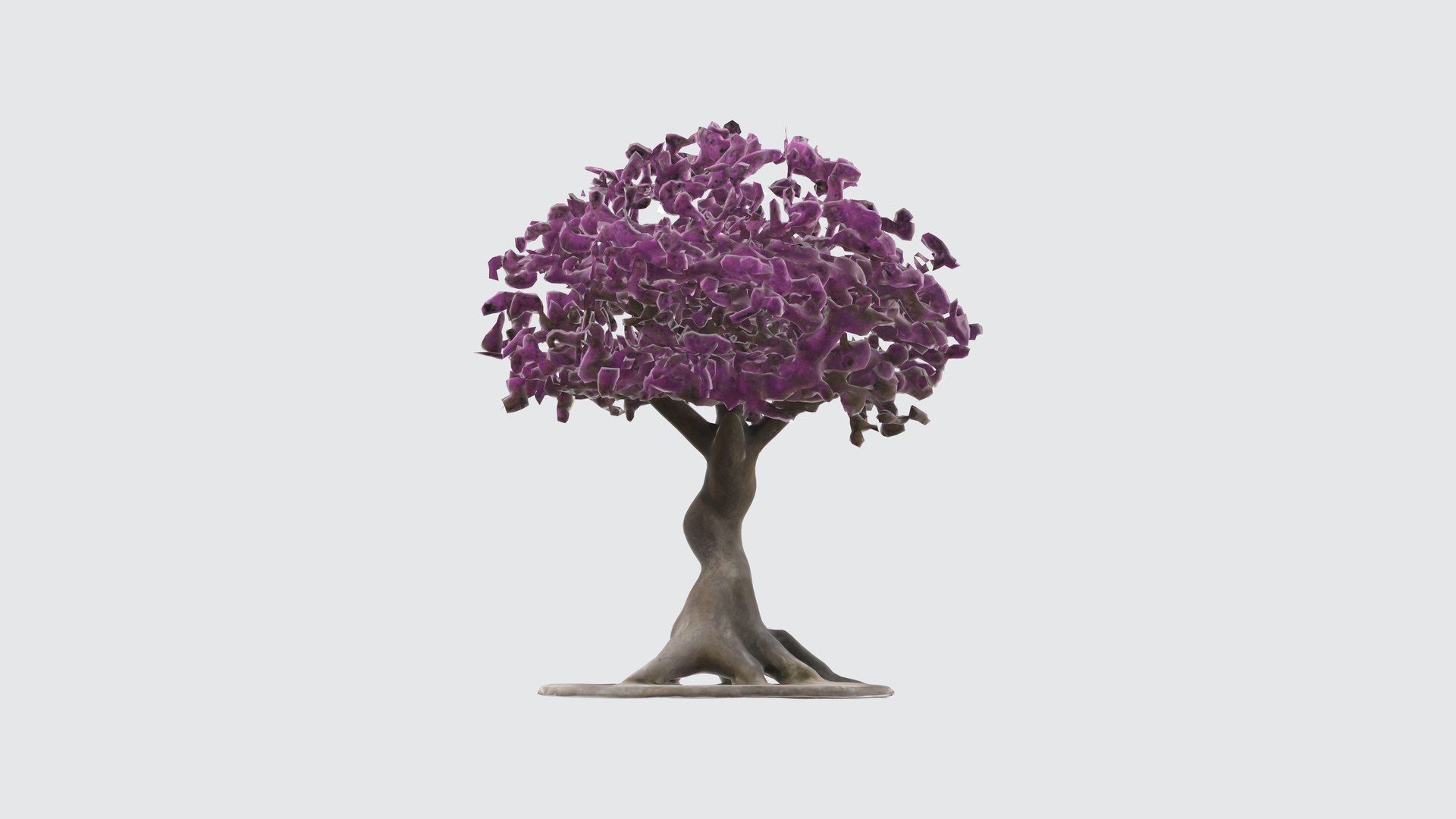 Erguvan Judas Tree Model - TurboSquid 2281561