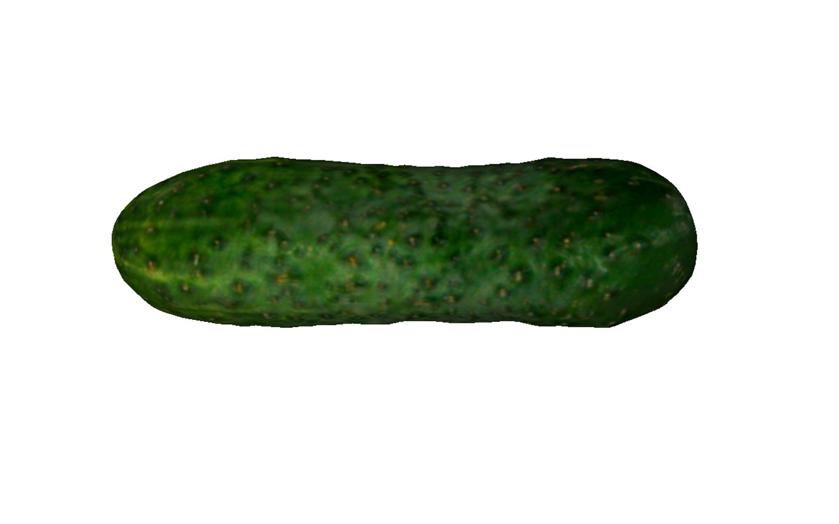 3D cucumber model - TurboSquid 1604079