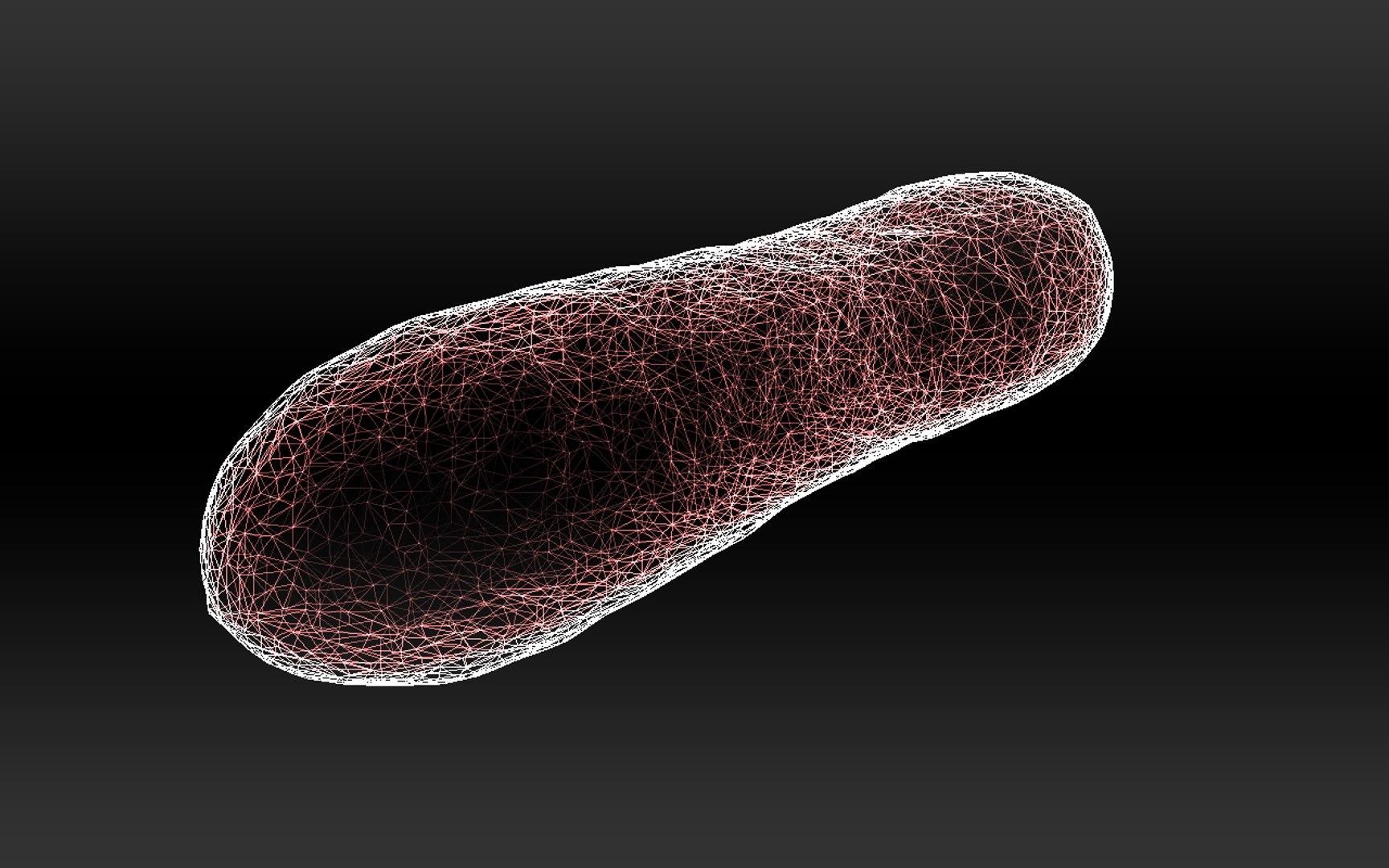 3D cucumber model - TurboSquid 1604079
