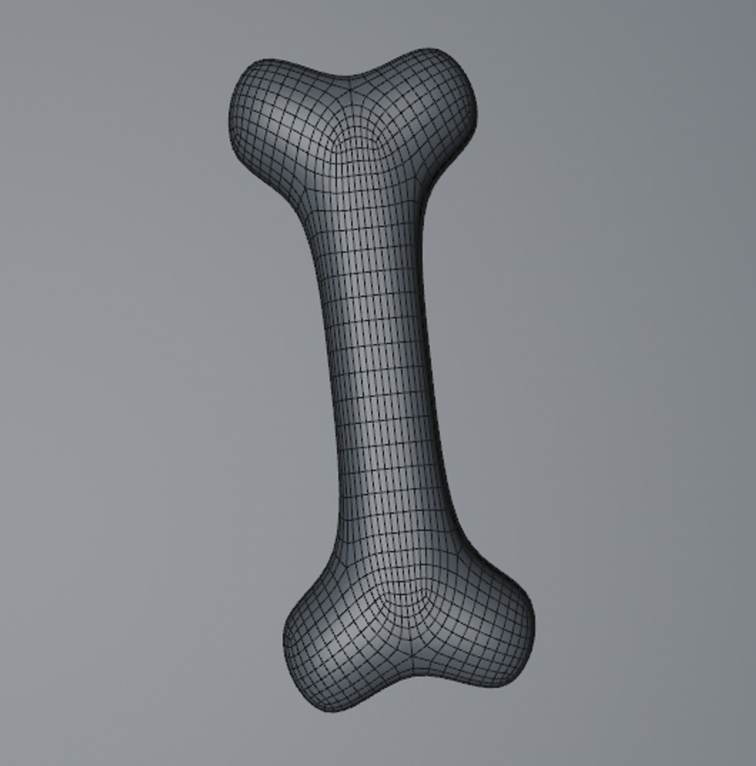 Free 3D Cartoon Bone - TurboSquid 1614756
