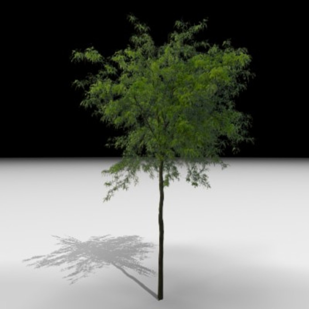 3d Model Tree J3d