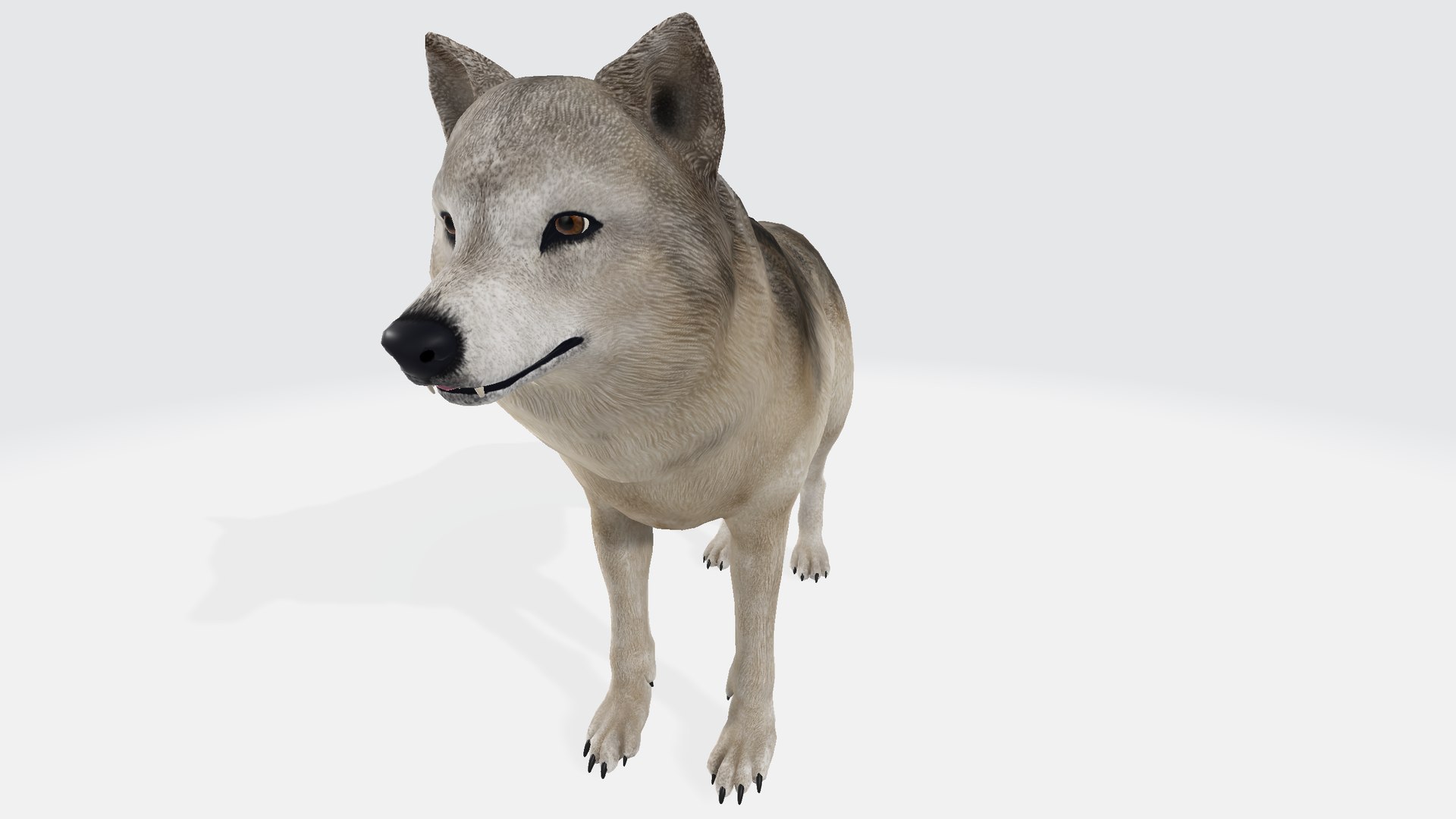 Gray Wolf 3D Model - TurboSquid 2300744
