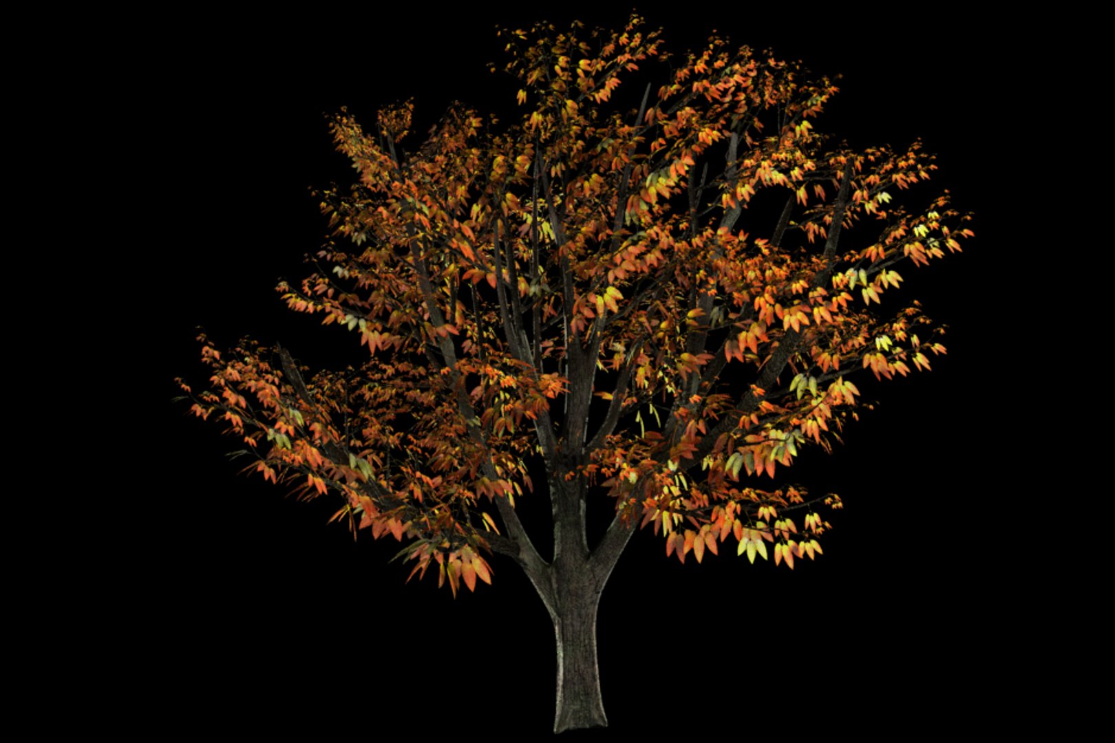 3d Tree Leaves Fall Summer