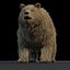3D Bear Rig Model - TurboSquid 1182391