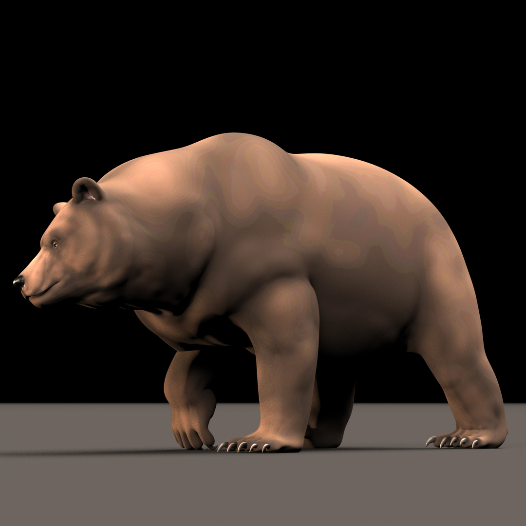 3D bear rig model - TurboSquid 1182391