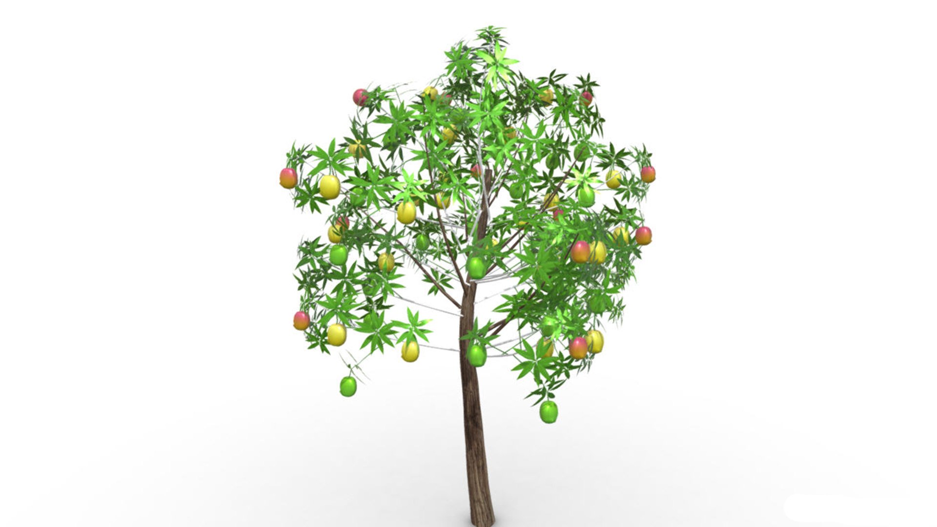 Mango Tree Model - TurboSquid 2240578