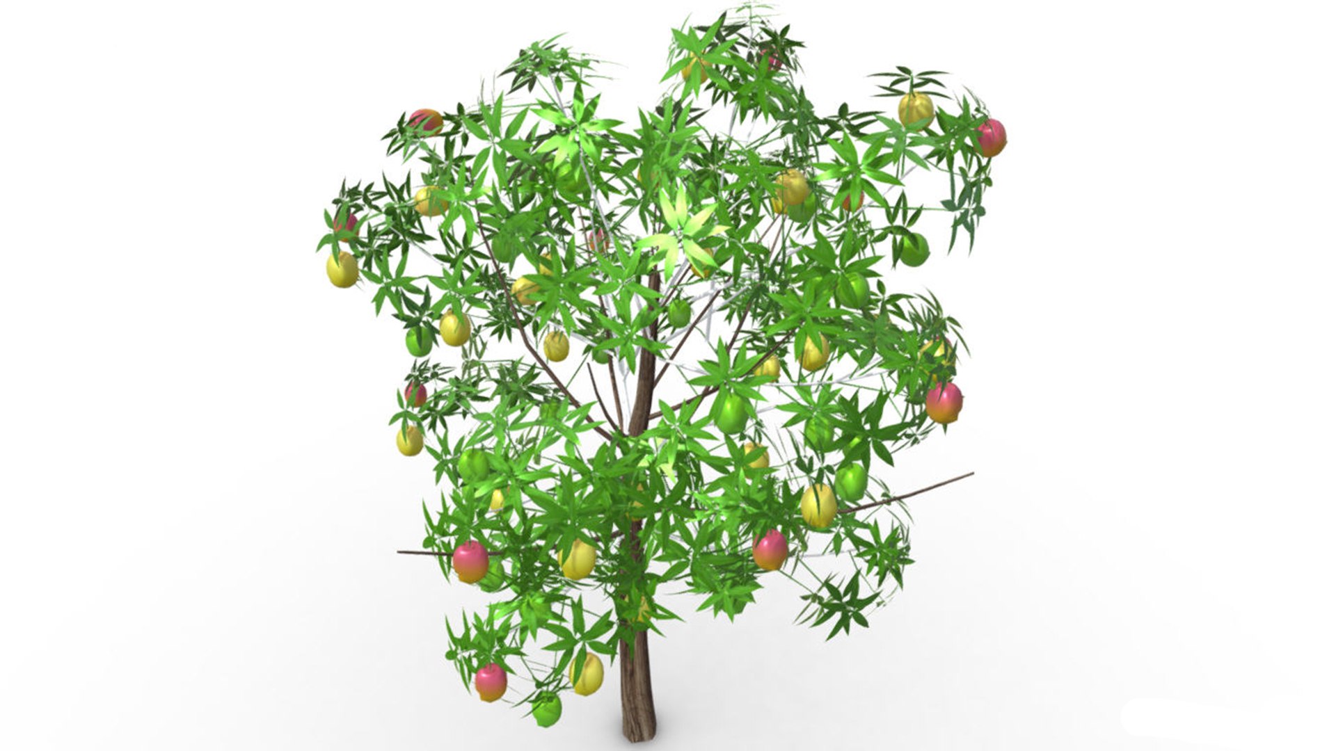Mango Tree Model - TurboSquid 2240578